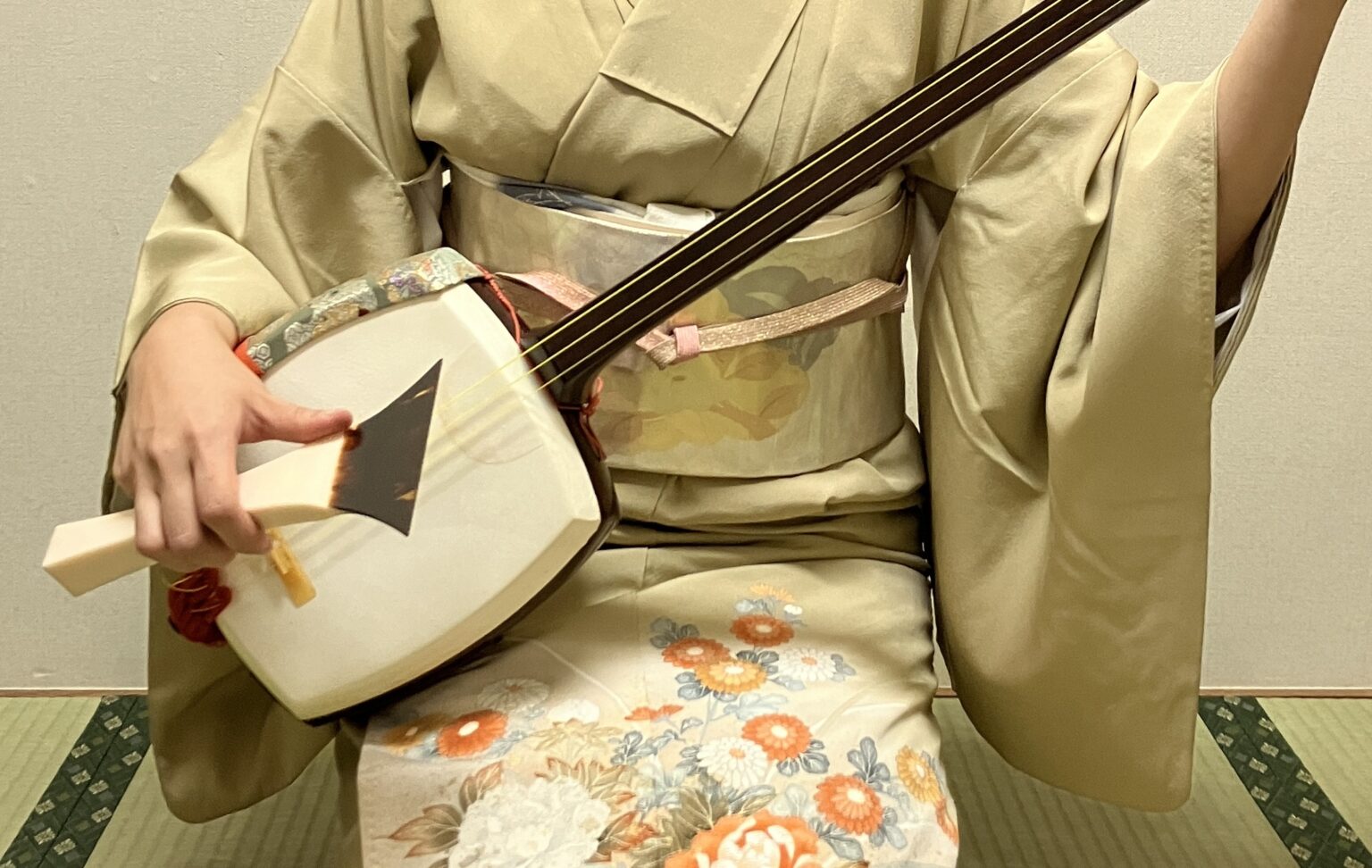 The art behind three strings: discovering the strings of the Shamisen ...